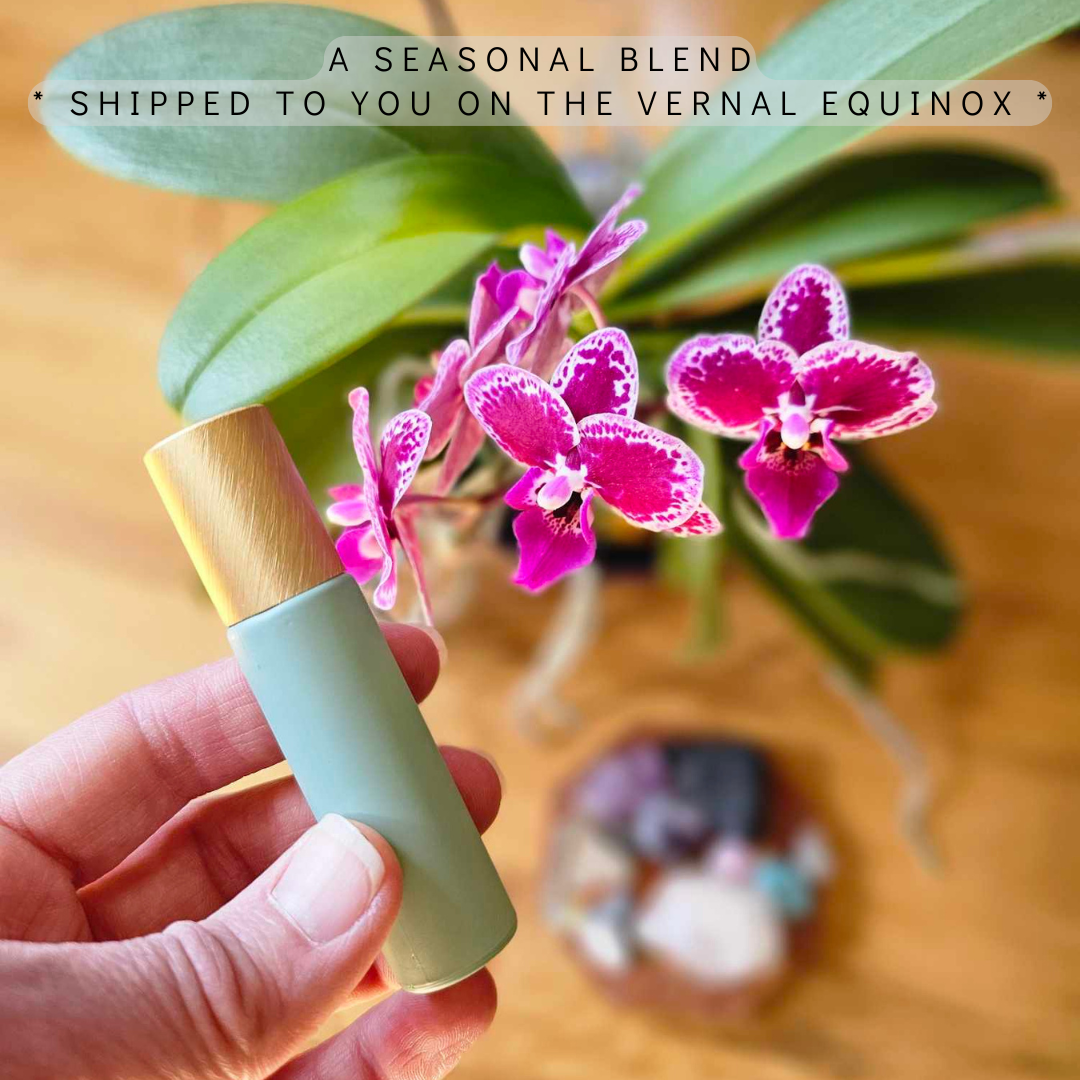 Mystery Rainbow Blend – Coming Up Rainbows